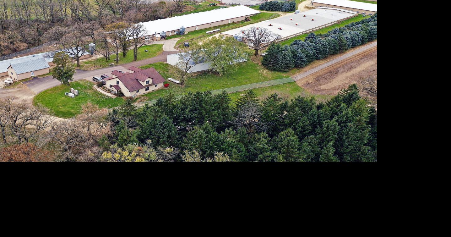 Wisconsin dog breeder’s vet suspended
