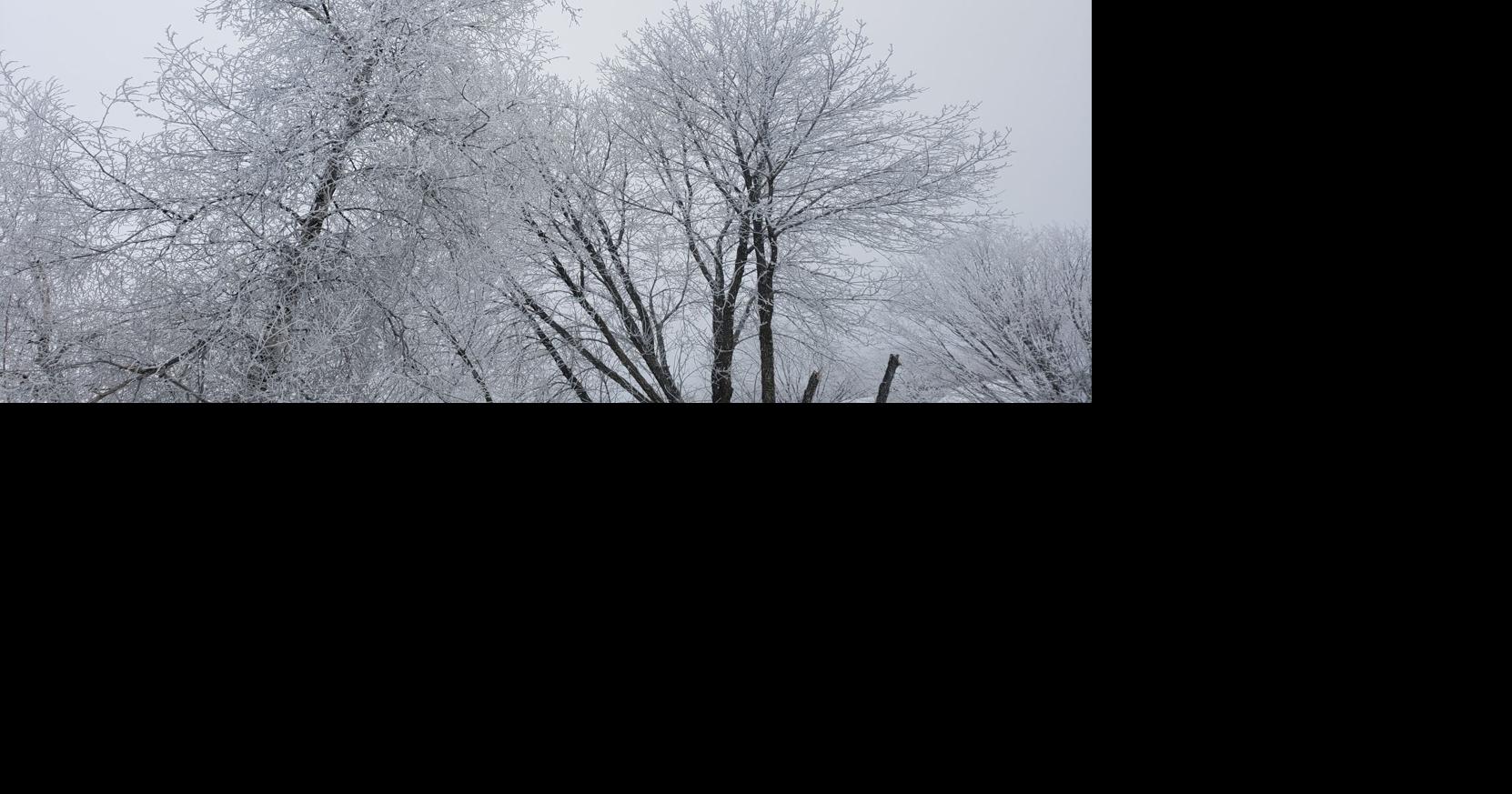 Freezing drizzle, dense fog for southern Wisconsin Thursday