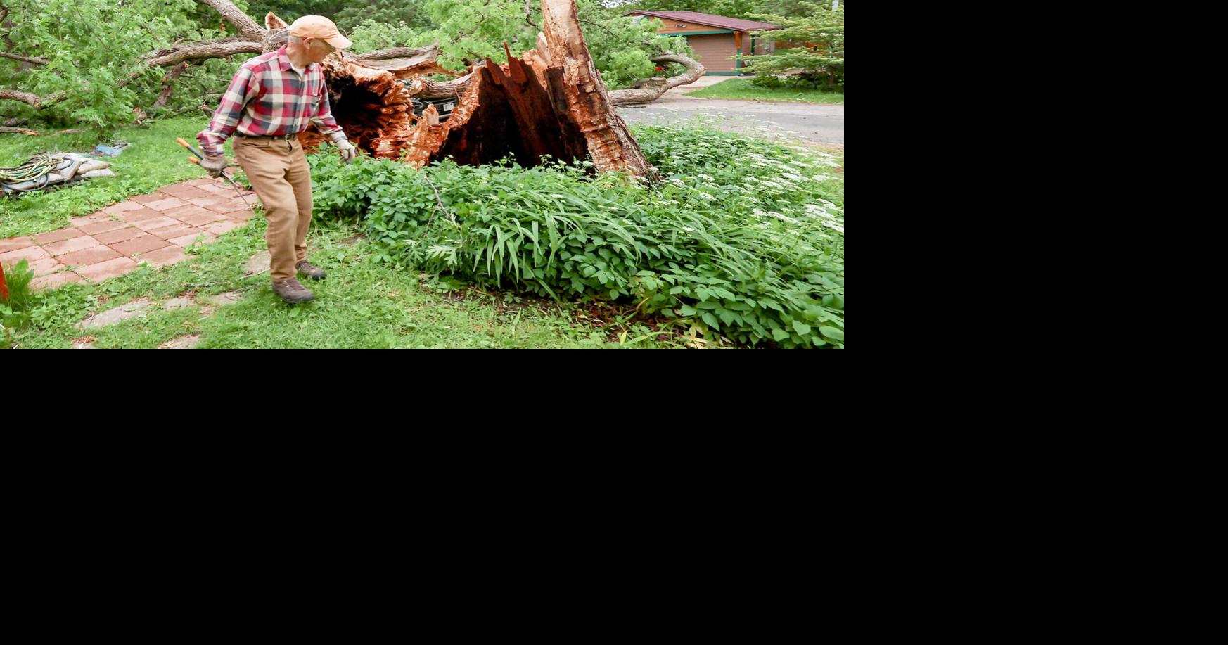 Madison storm blocks roads, knocks out power, closes schools