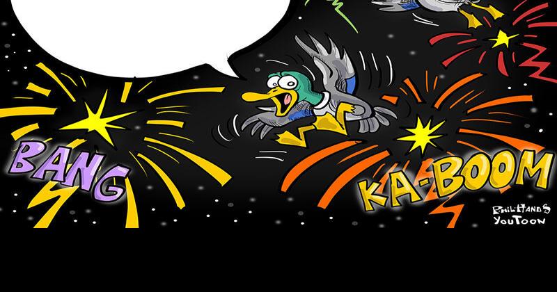 Ducks dodge fireworks in this week's caption contest