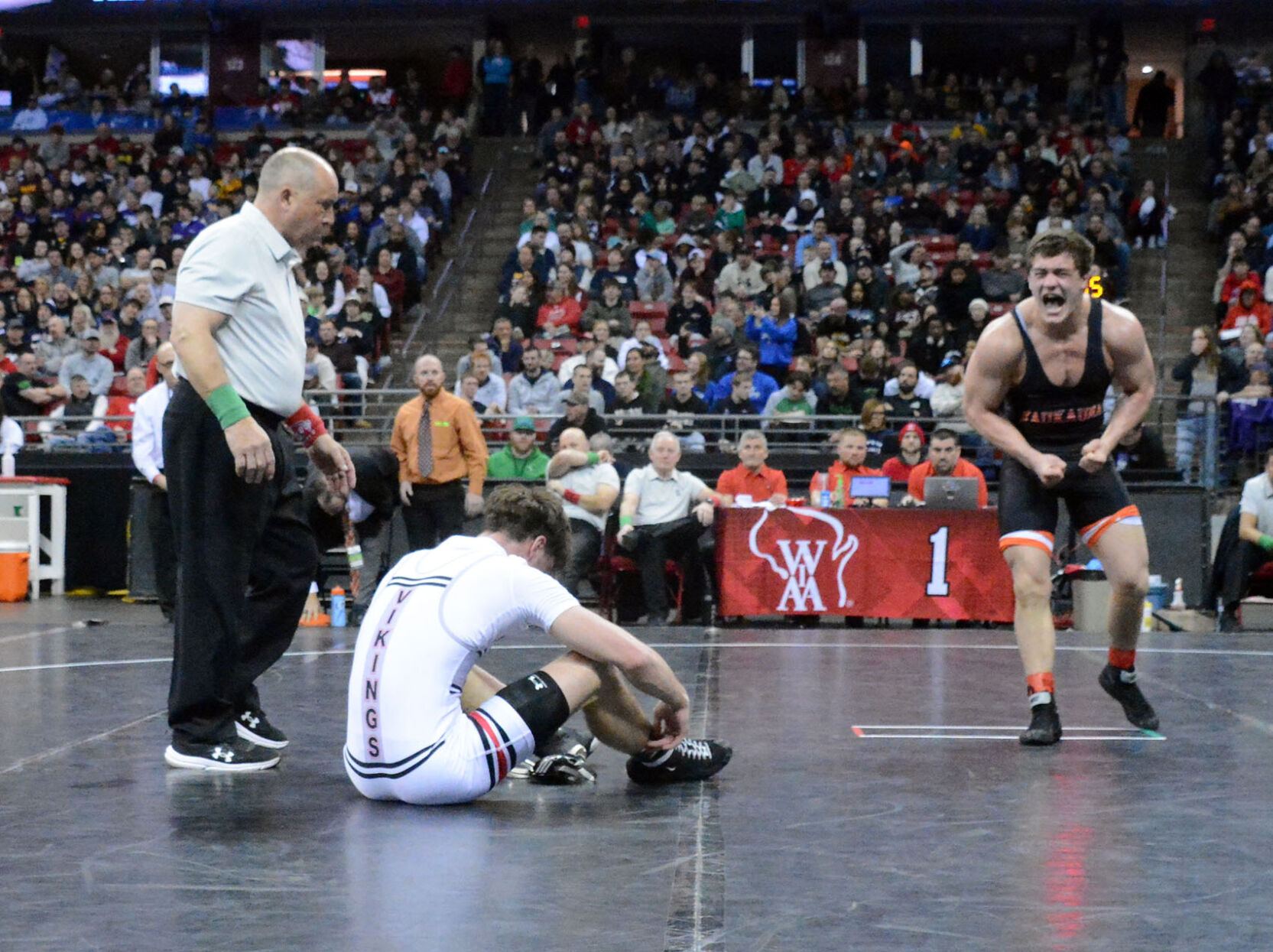 Mount Horeb's Eli Leonard takes second at 175 pounds