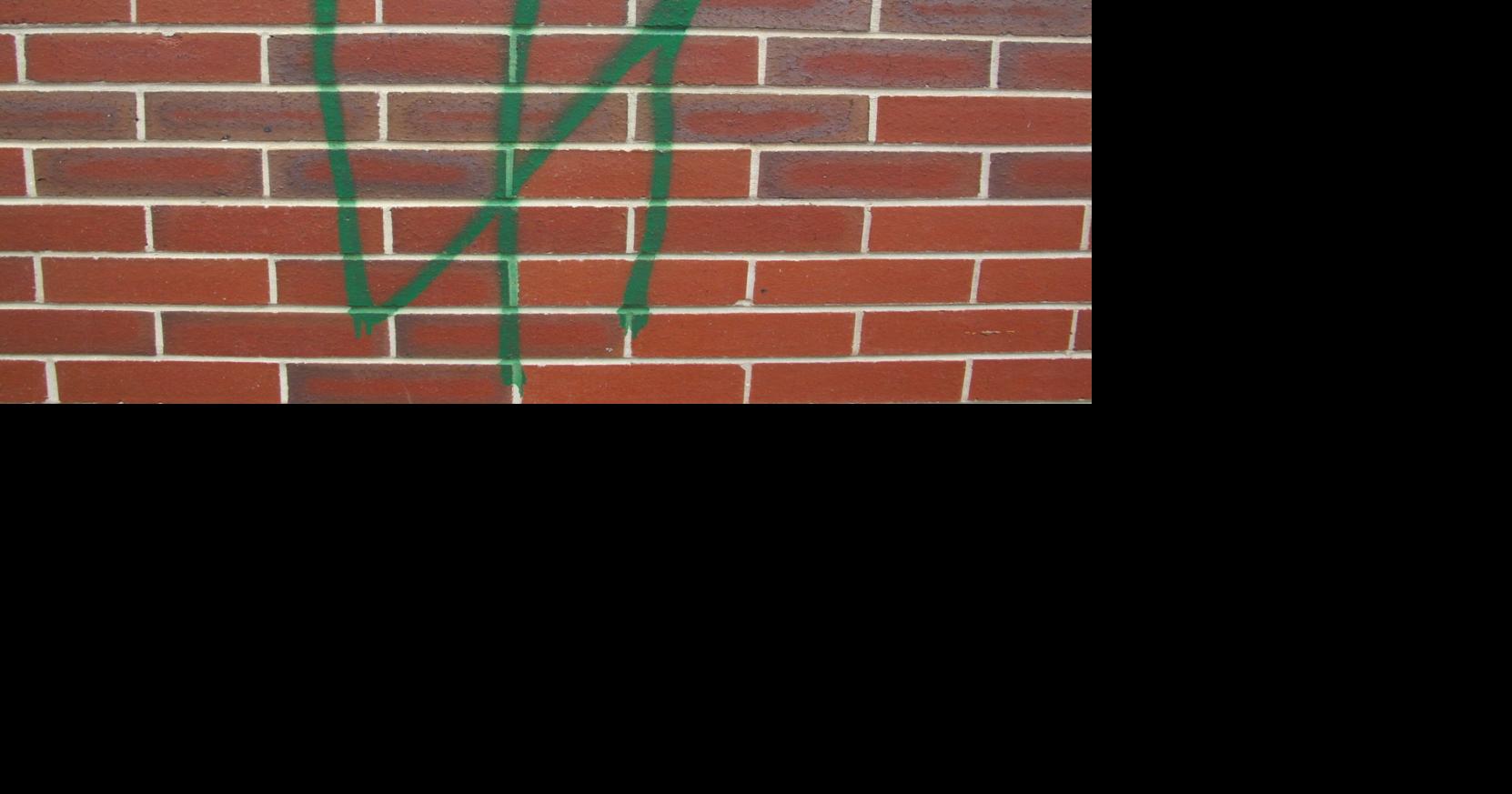 Update: 1 graffiti suspect to be charged with hate crimes, Madison ...