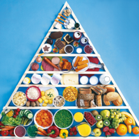 New food pyramid puts vegetables, red meats and whole-fat dairy at the top