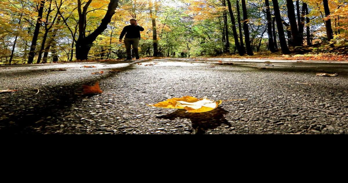 Cool start to fall in southern Wisconsin; rain returns Friday