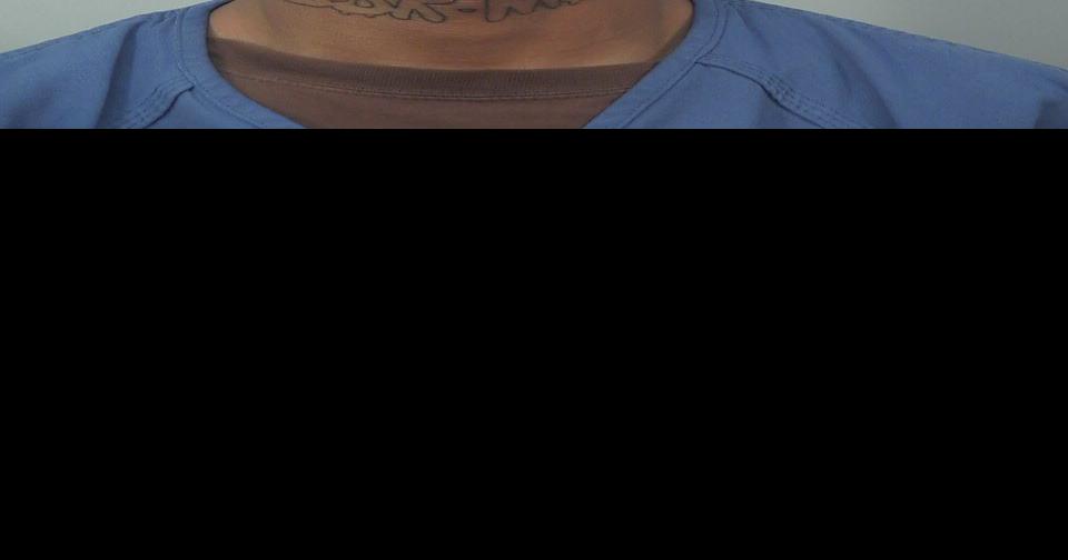 Teen auto theft suspects could be responsible for many area crimes ...