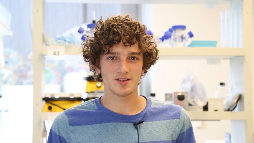 Blue Sky Science: How fast could a human theoretically sprint?