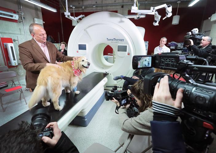 Scout, a dog treated at UW-Madison, appears in Super Bowl ad