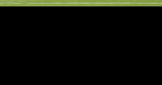 CFP Washington Michigan Football