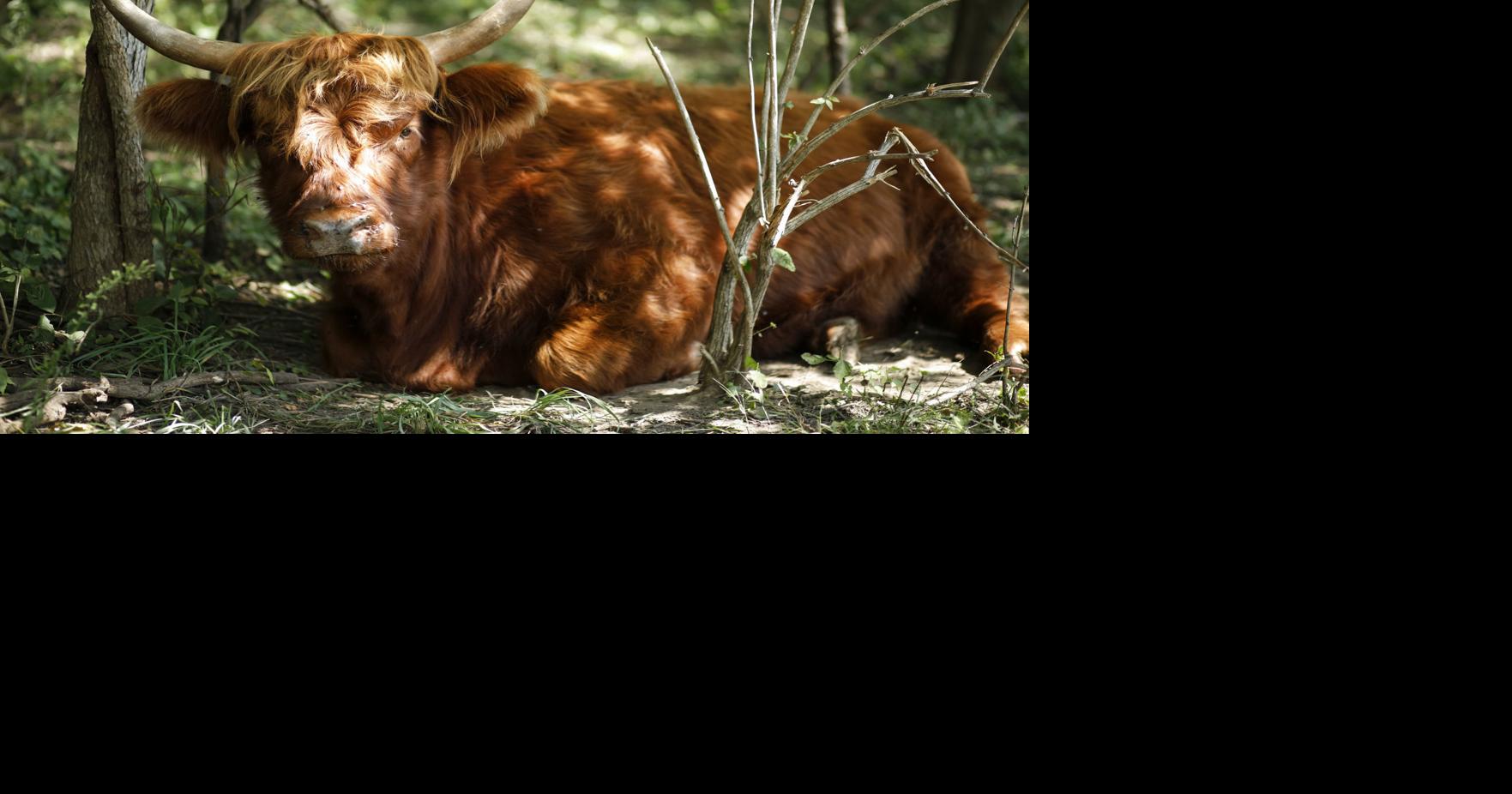 PHOTOS: Homestead Wisconsin in Belleville