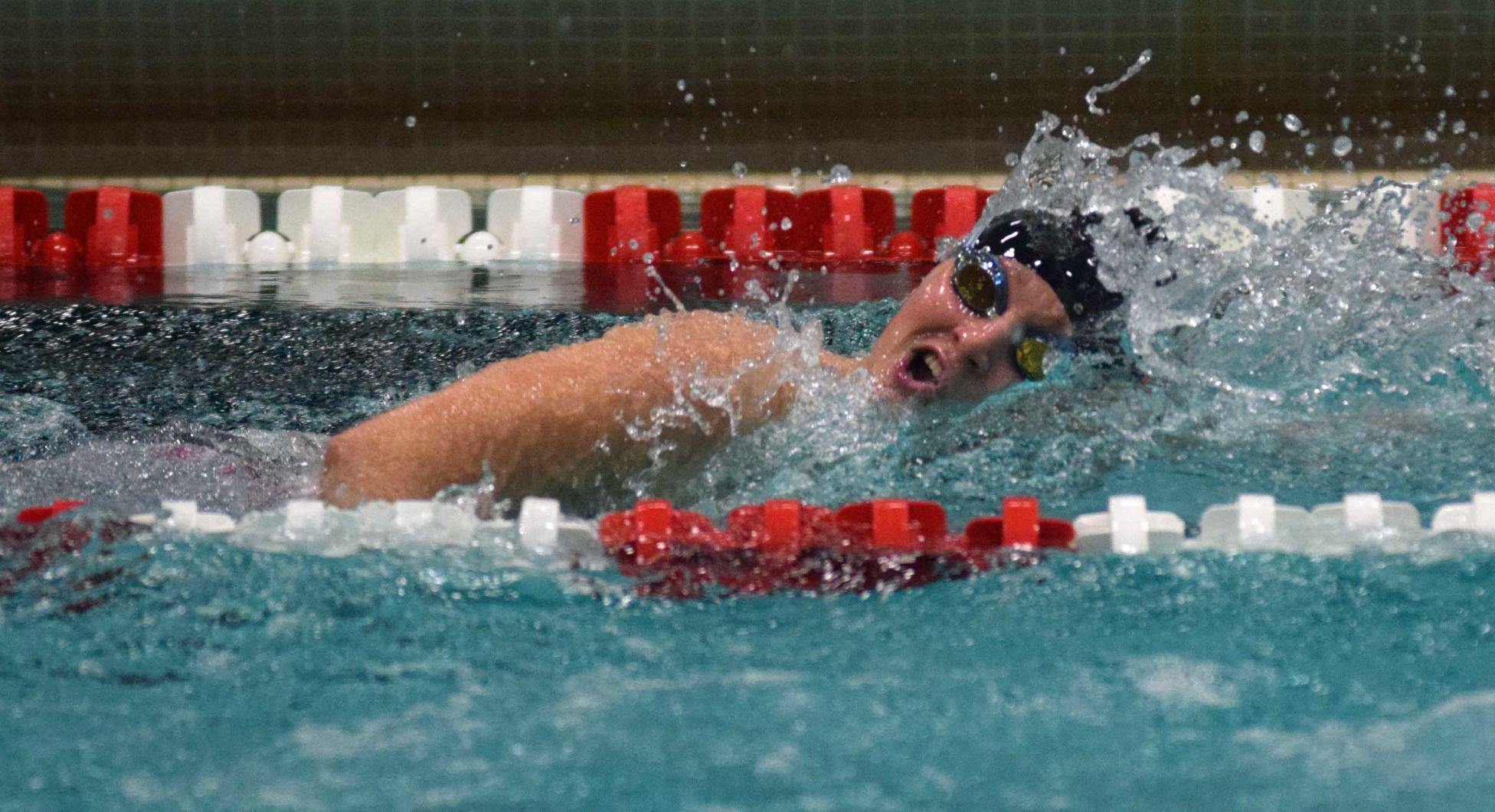 GALLERY: Area pair compete at WIAA Division 2 state swimming and diving ...