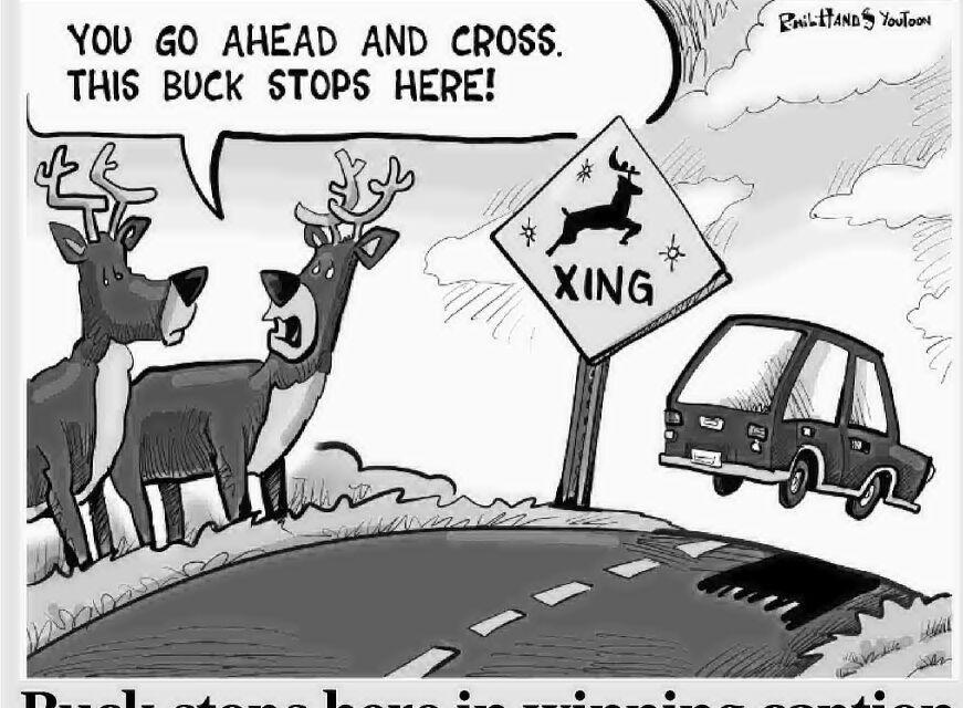 Buck stops here in winning caption