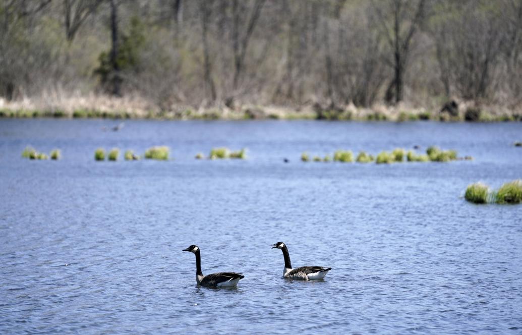 Kickapoo Valley Reserve stalwart leaves a legacy that protected and ...