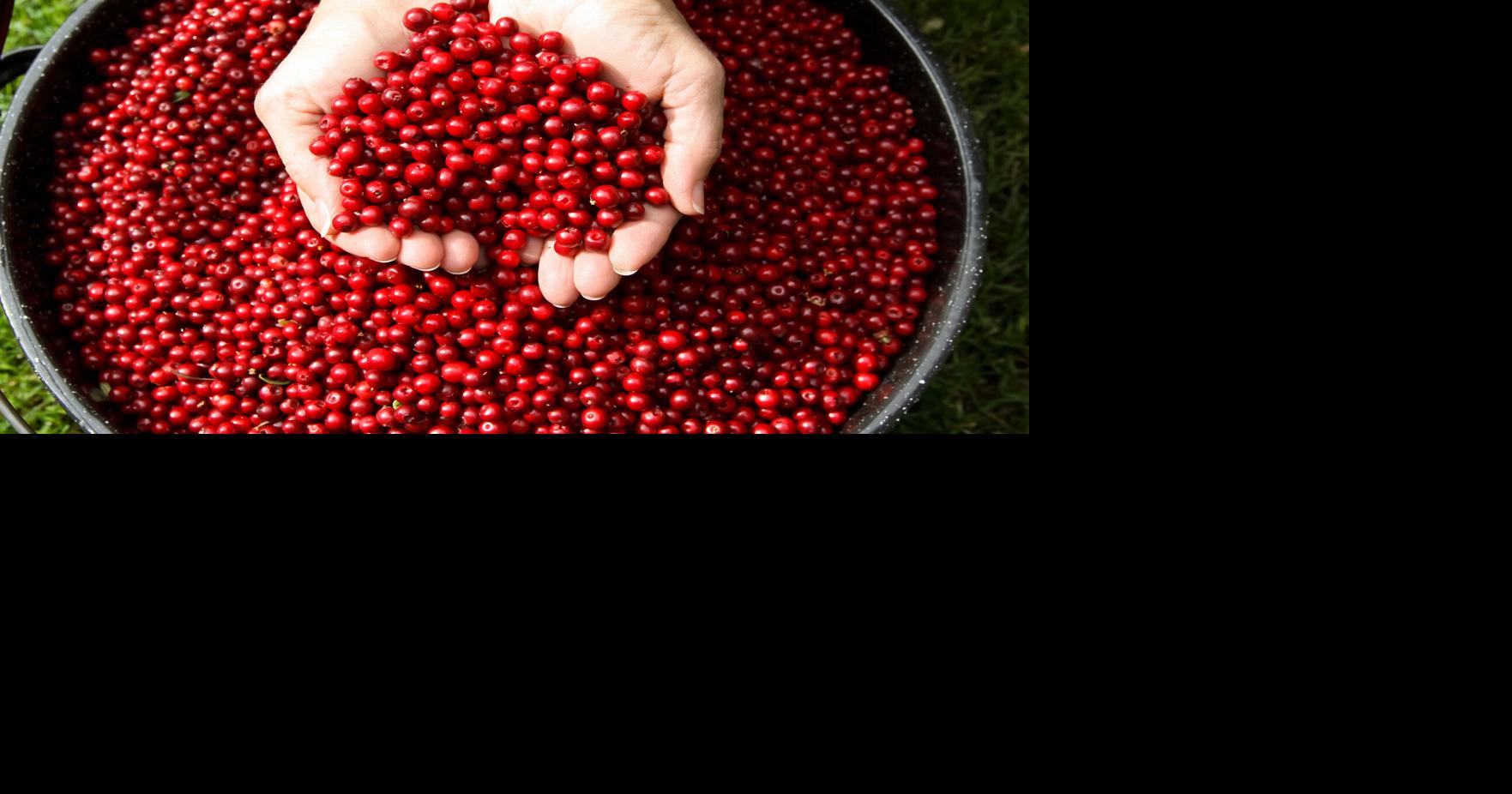 Cranberries can be labeled 'healthy,' FDA says