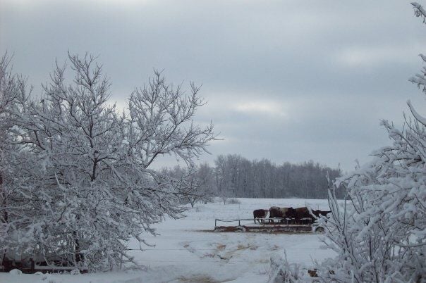 Family says good-bye to Wisconsin dairy farm
