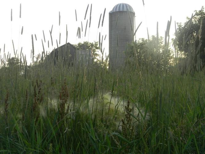 Family says good-bye to Wisconsin dairy farm