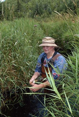 Patrick Durkin: Lyme disease has more than tripled in the past decade