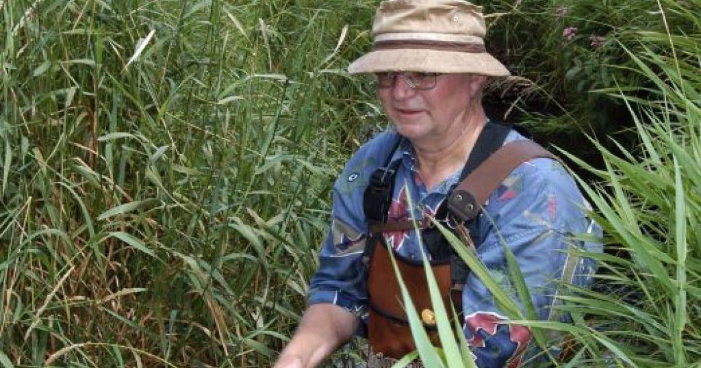 Patrick Durkin: Lyme disease has more than tripled in the past decade