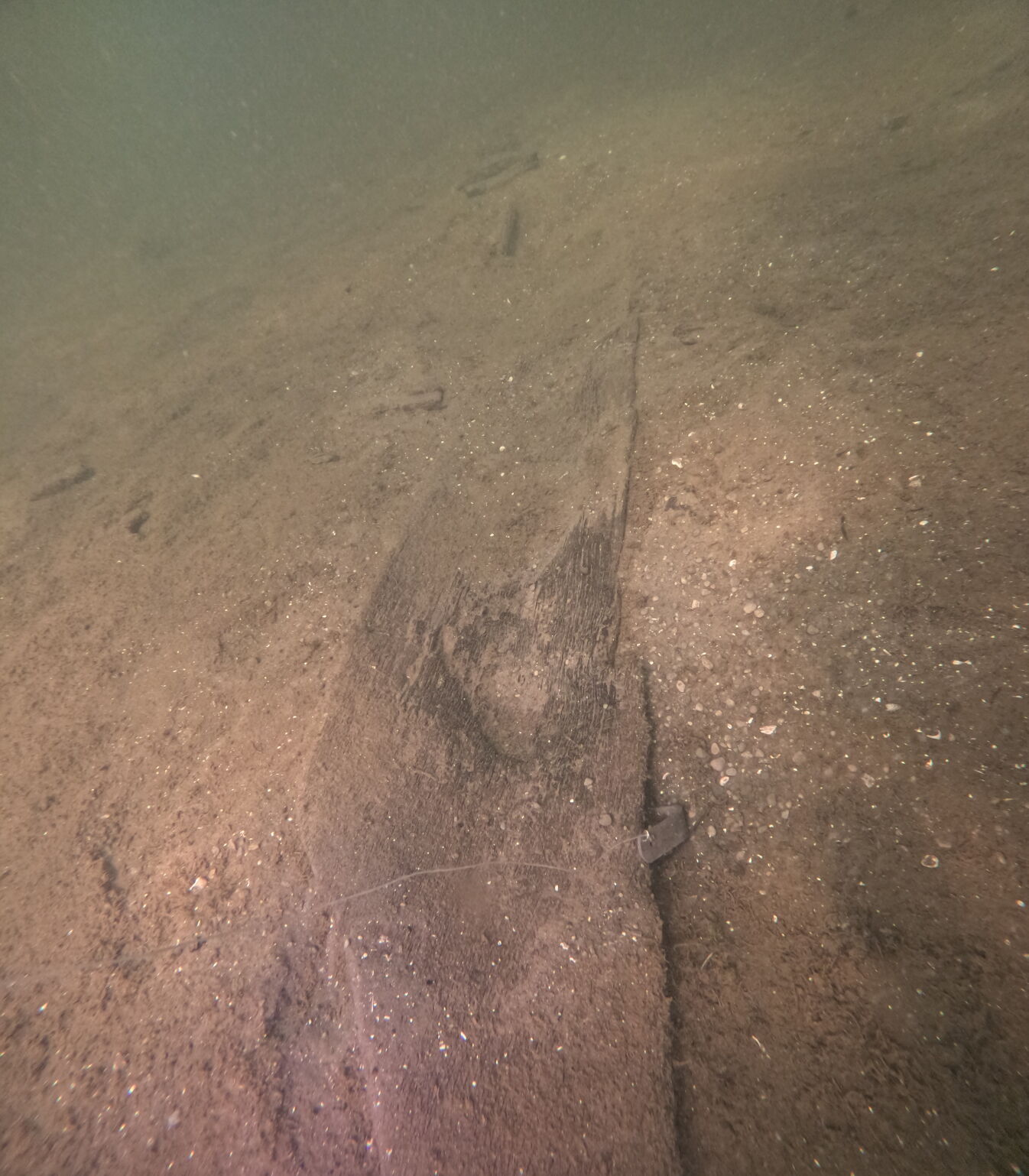 More ancient canoes found in Lake Mendota