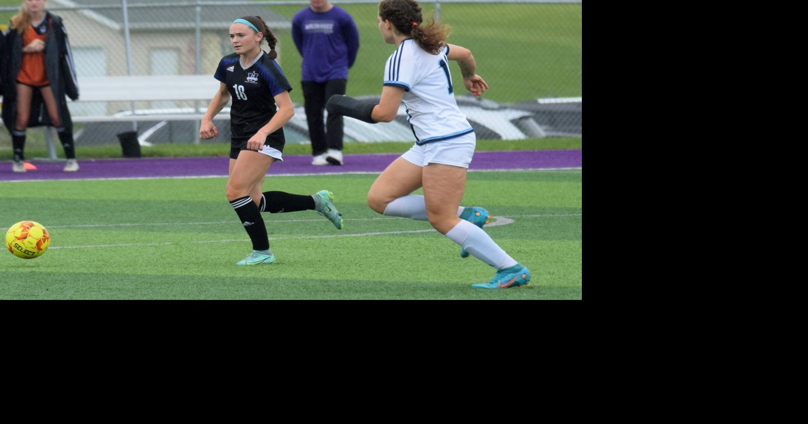 Waunakee tumbles in OT to Milwaukee DSHA in WIAA Division 1 soccer ...