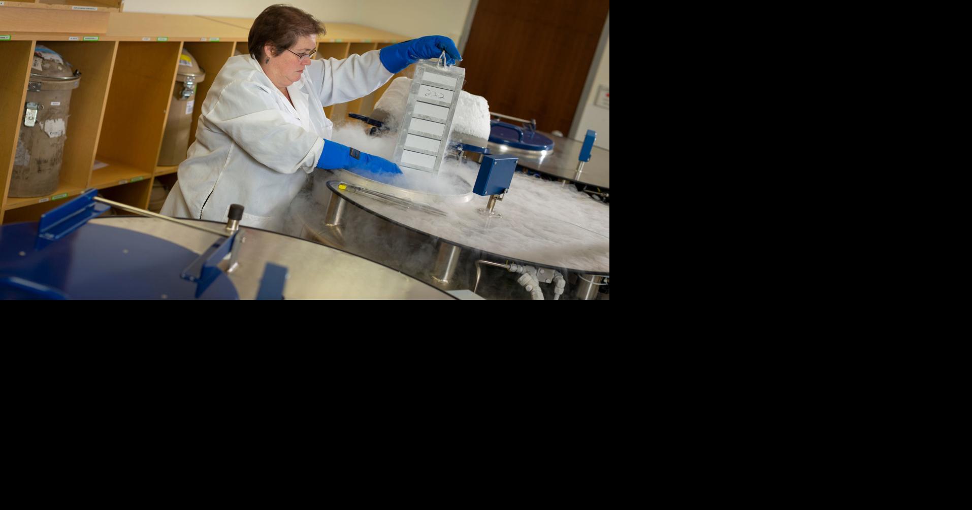 A global scientific resource, WiCell adapts to advance discovery