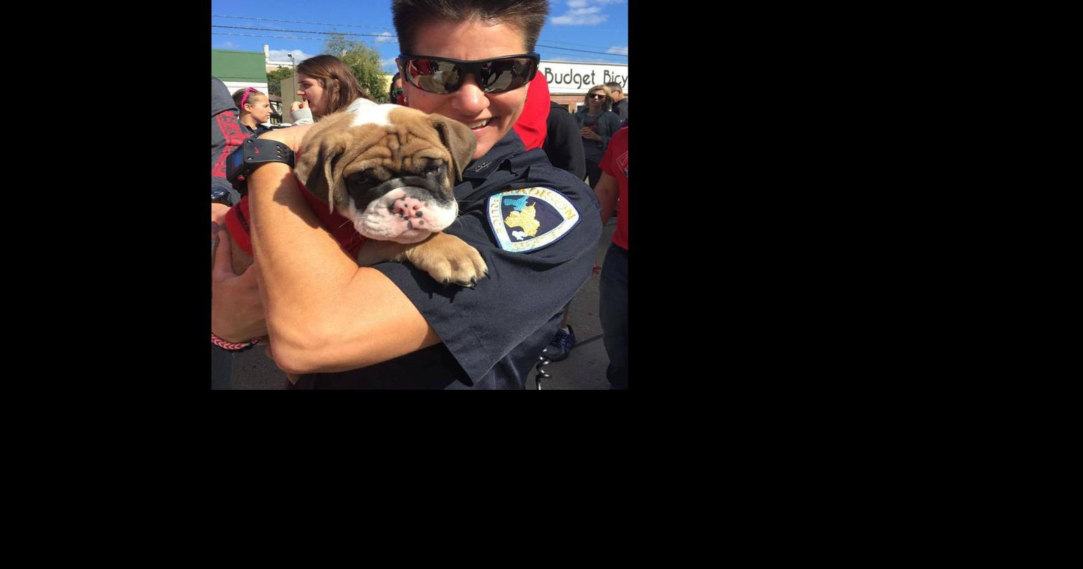 Madison police identify officer seriously injured in Sun Prairie crash ...