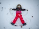 How much snow fell in Madison in 24 hours?