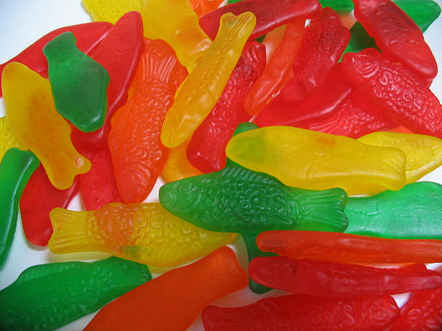 Swedish Fish melting, endangered by global warming