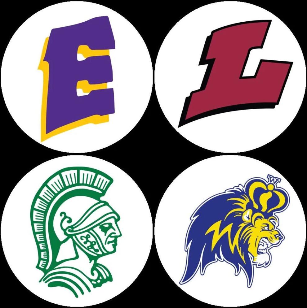 Public can weigh in on new Madison high school mascots