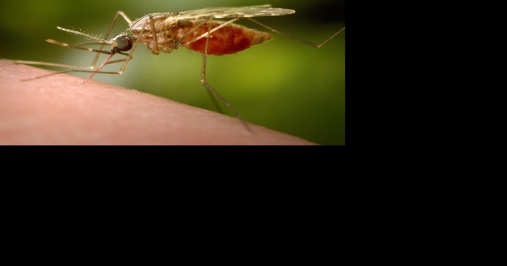 Are mosquitoes worse in Wisconsin this summer?