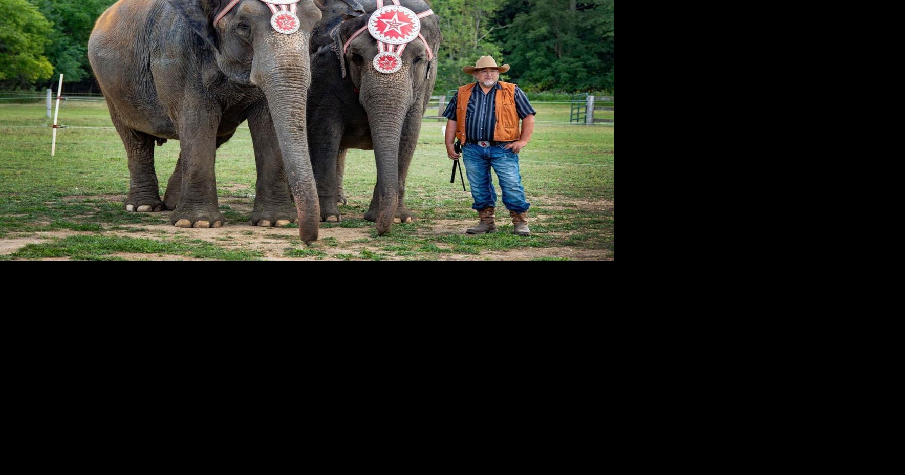 Kelly and Viola, Circus World's elephants, take a final bow