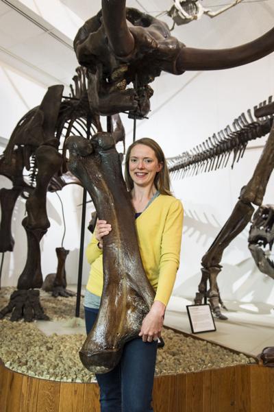 After 100 years, more is being discovered about UW mastodon