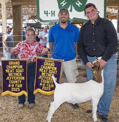 4-H livestock auction raises record $442,600 | News | madisoncourier.com