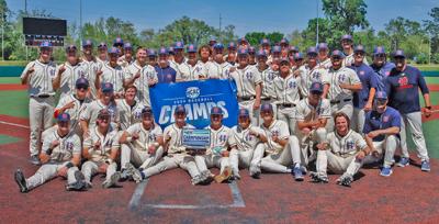 HANOVER ROUNDUP: Panthers battle back from loser's bracket to win HCAC ...