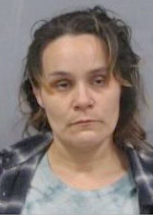 Madison police recover stolen vehicle, make arrests | News ...