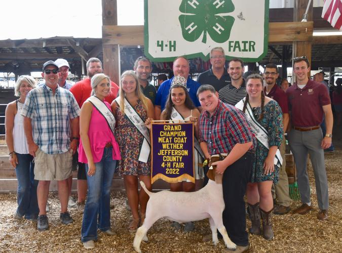 4-H Fair wraps successful run with $306,200 in sales at livestock ...