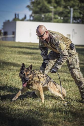 ATK9 holds annual K-9 training at Muscatatuck Urban Training Center ...