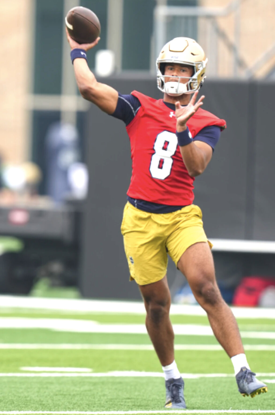 Stein, Cats rebuilding through transfer portal | Sports ...