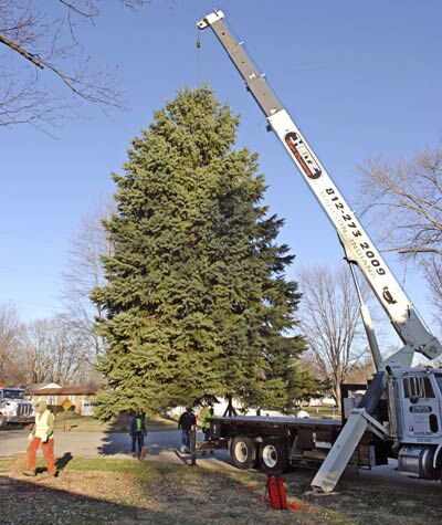 Community Christmas tree arrives downtown | News | madisoncourier.com