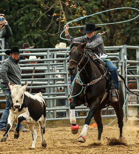 'Living out my dream' | News | madisoncourier.com