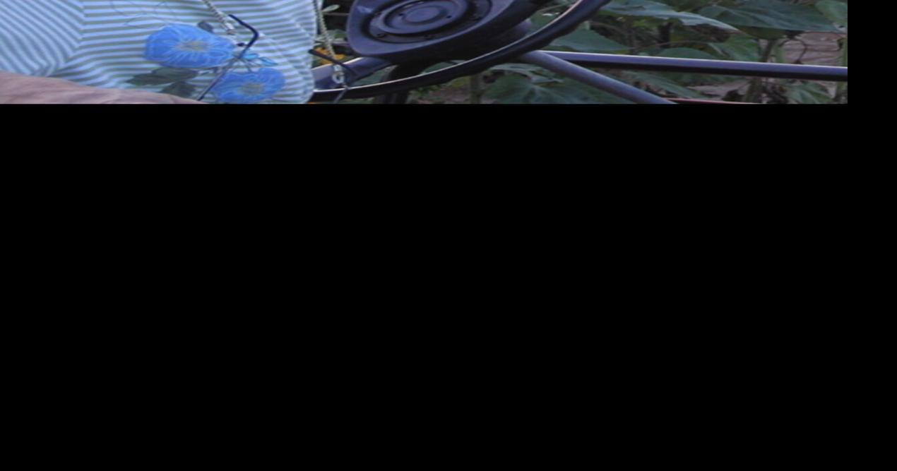 Joyce Ann Jones Rogers, (aka) Joy | Carroll News Democrat ...