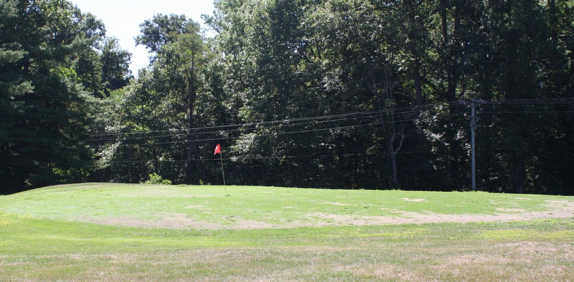 Director out as golf course called ‘horrible’ | North Vernon ...