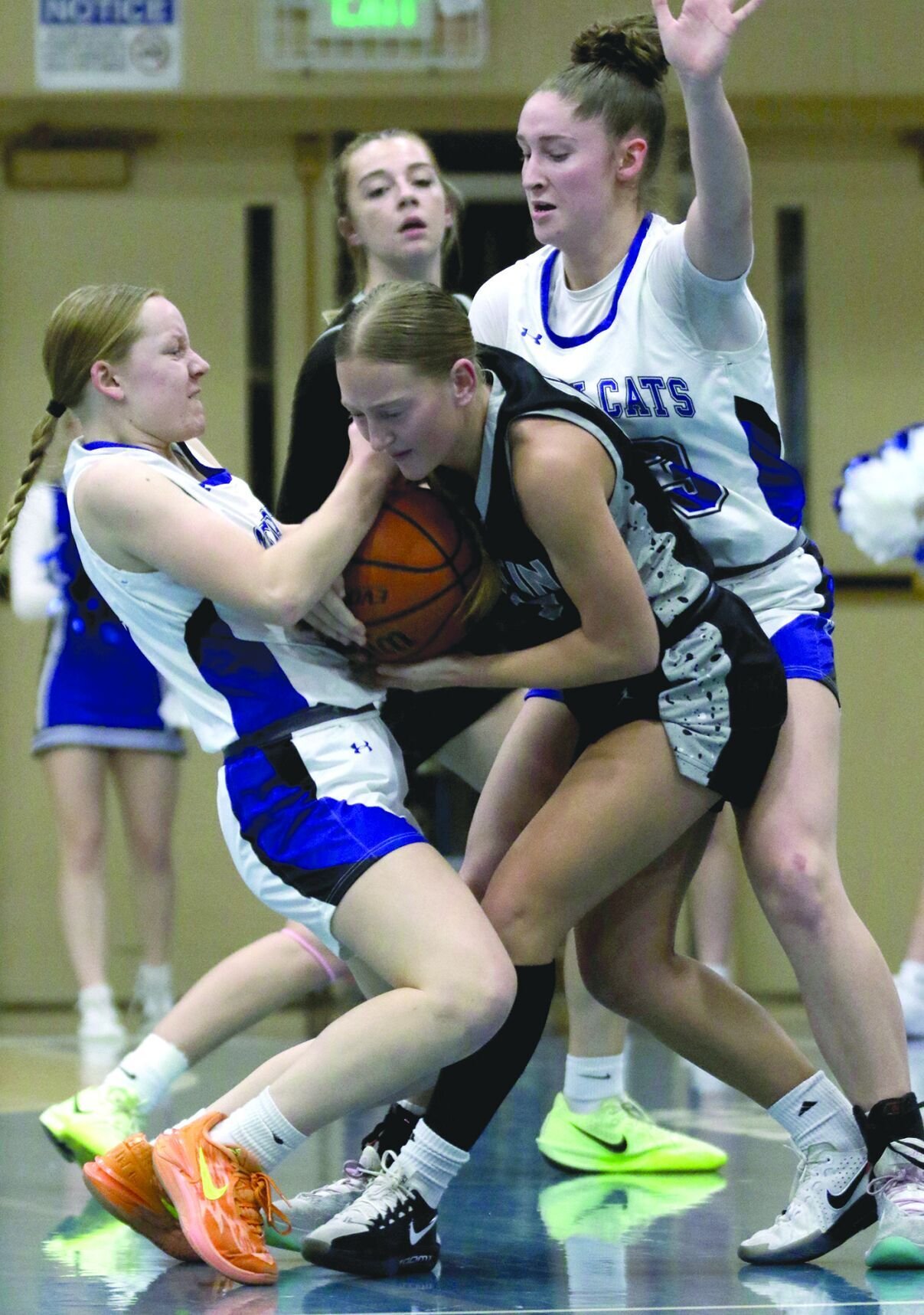 Lady Cats slip to Austin | Sports | madisoncourier.com