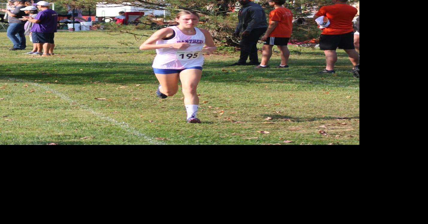 Cross country: Boys, girls team second in Gerkin memorial | North ...