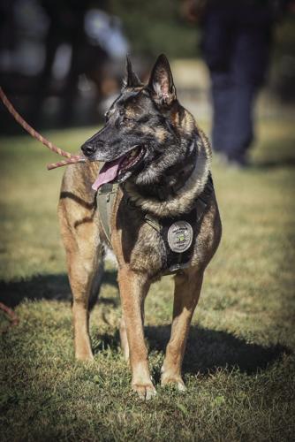 ATK9 holds annual K-9 training at Muscatatuck Urban Training Center ...