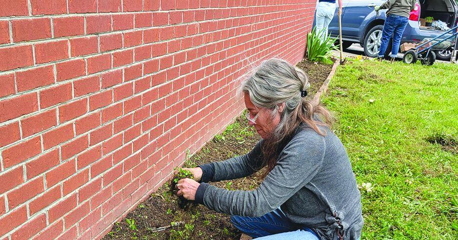 Planting future flowers | Features | madisoncourier.com