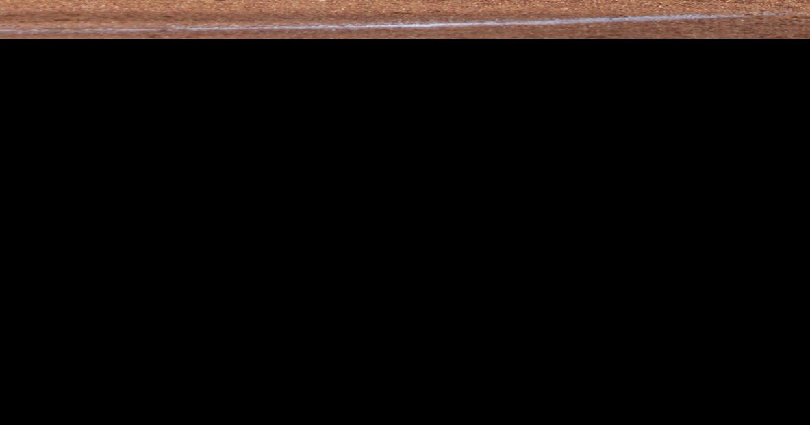 SOFTBALL: Trimble sweeps Warriors, Panthers swept by Lady Cats ...