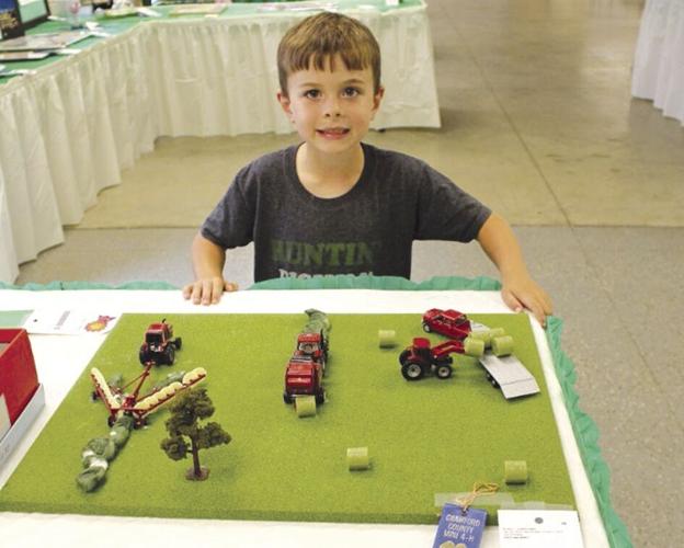 4-H Fair sees 58 projects advance to Indiana State Fair | Features ...