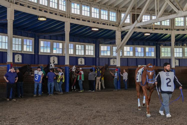 Laurel Park waited 114 years for the Preakness. It may be a farewell as ...