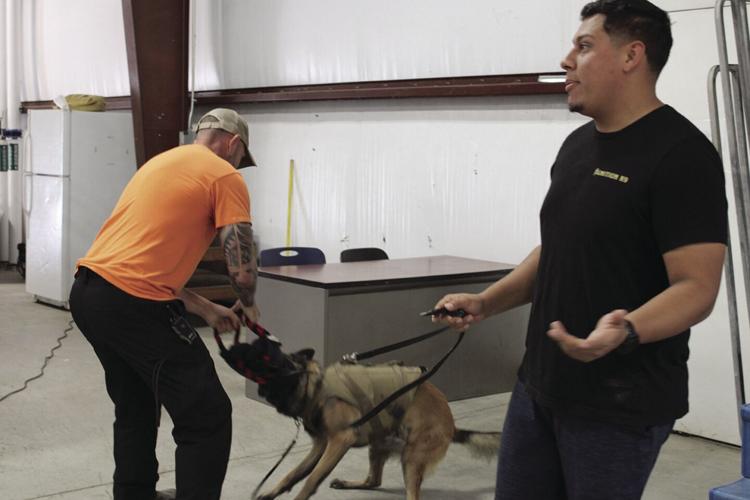 ATK9 holds annual K-9 training at Muscatatuck Urban Training Center ...