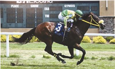 Louder Than Words earns Palmyra couple award | Sports | madisoncourier.com